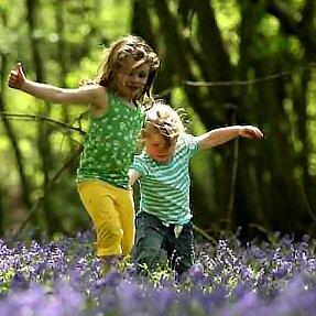 Redefining progress | Quantitative v Qualitative | Econation