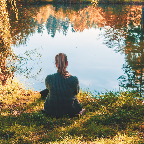 Just right: the Goldilocks Principle and Sustainability