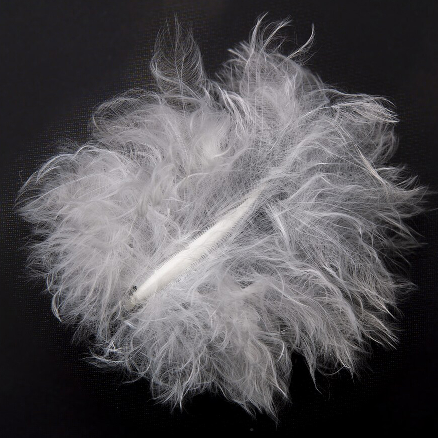 Down | Goose down | Duck down | Sustainable Material