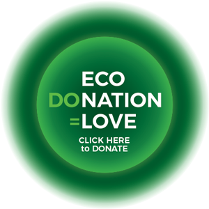 The Benefits of Sustainability | Sustainability benefits | Econation